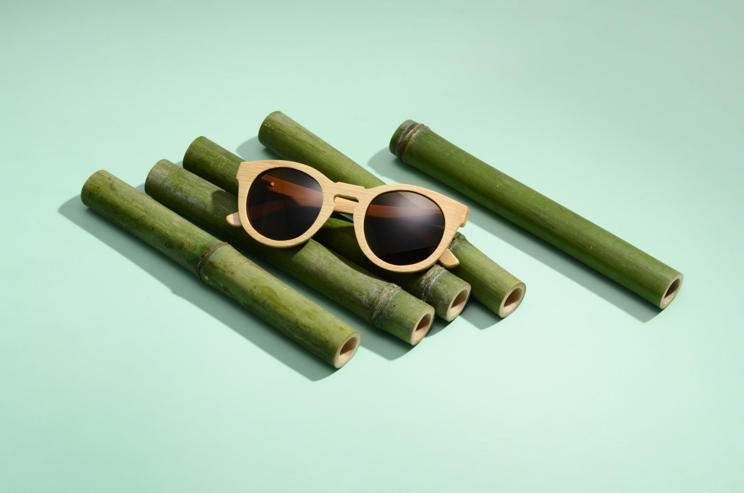 Eco-Friendly Eyeglasses: A Sustainable Vision for the Future